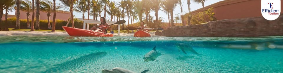Atlantis Dolphin Kayak Tour & Ticket